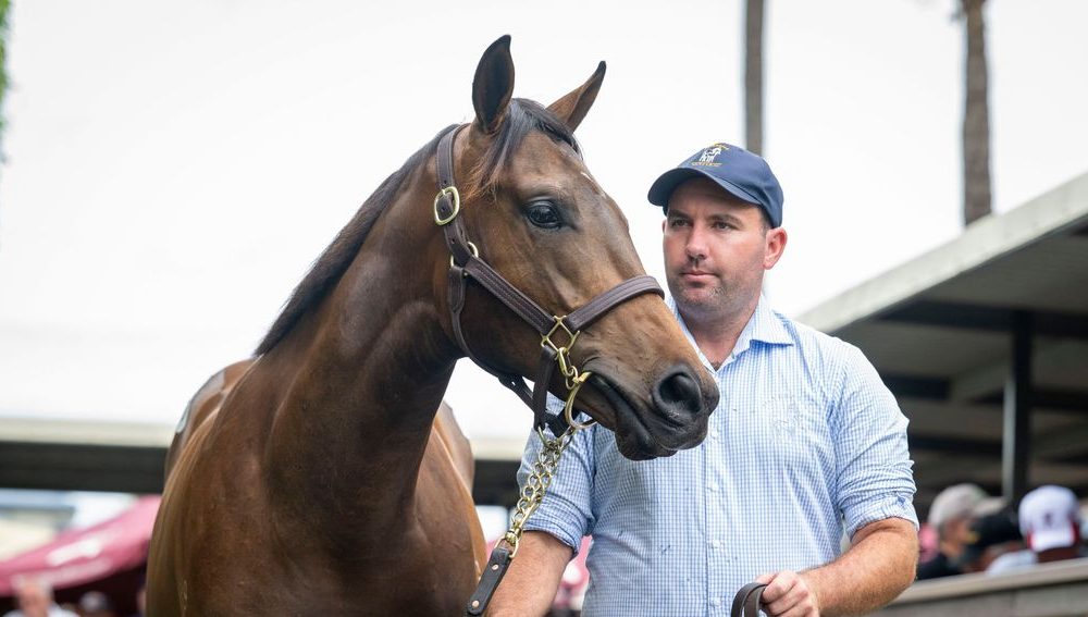 Maher and Redvers on a roll - ANZ Bloodstock News