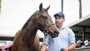 Maher and Redvers on a roll - ANZ Bloodstock News