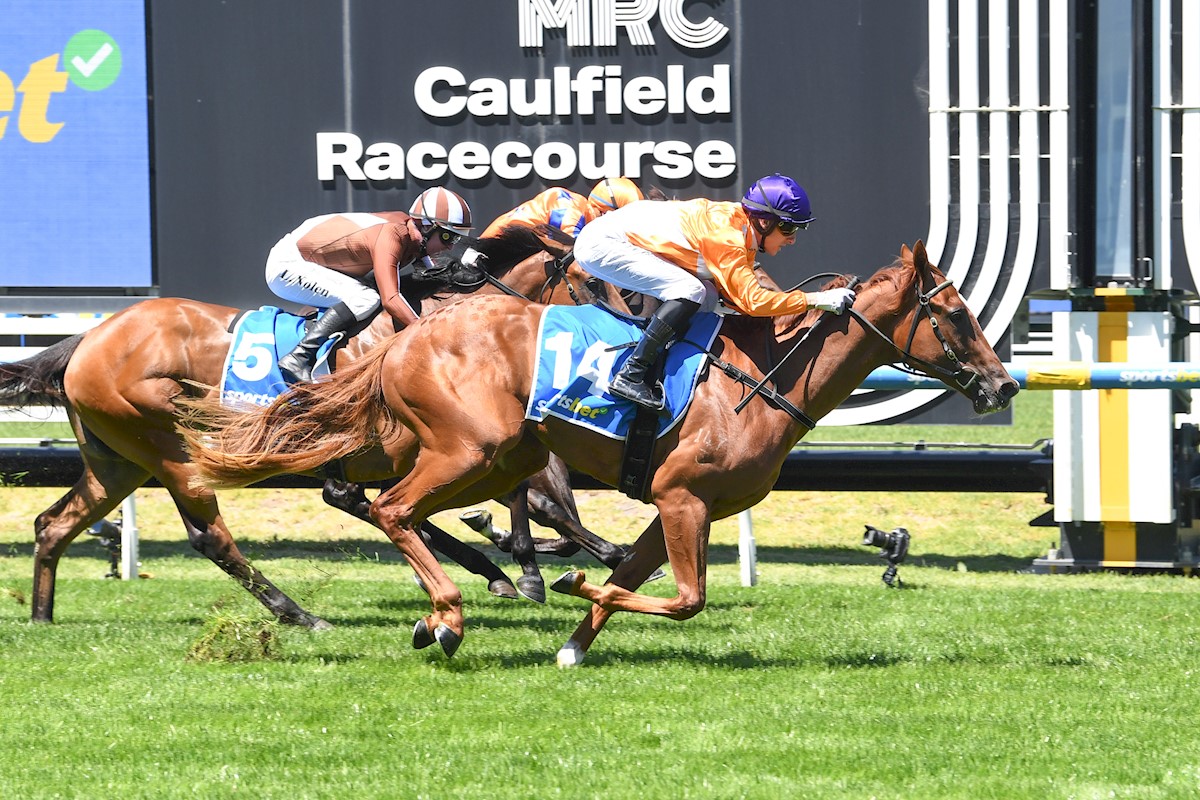 Rubi’s Choice delivers Preview upset for Eurell - ANZ Bloodstock News