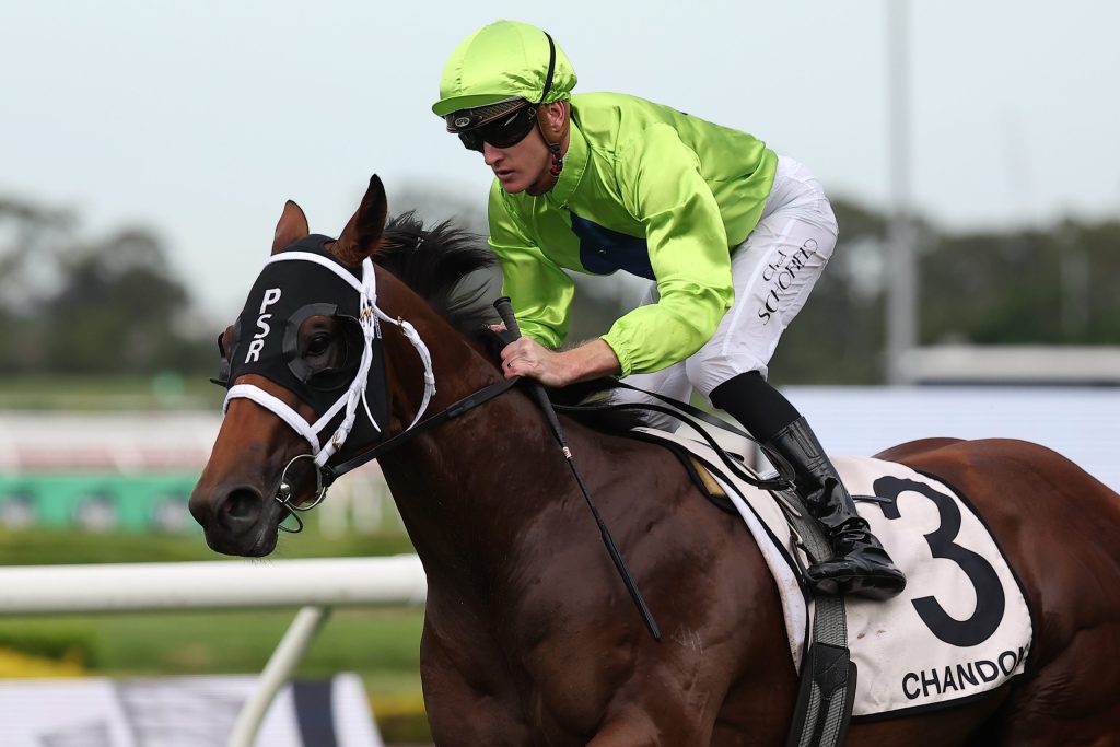 Stretan Ruler adds to family honour with Silver Slipper win - ANZ ...