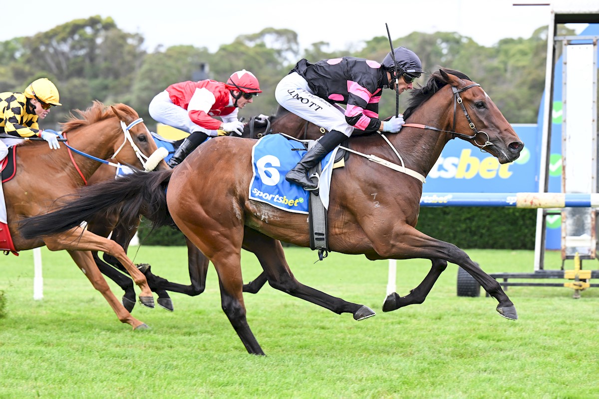 Kaye Jay (AUS) - ANZ Bloodstock News