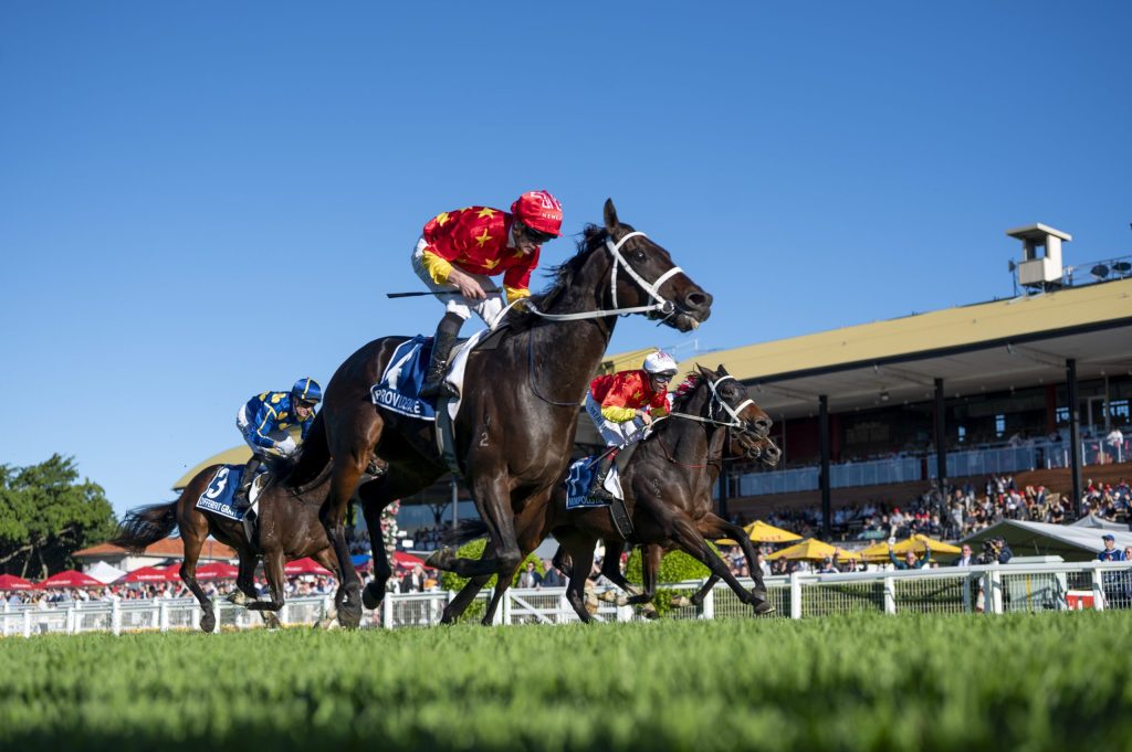 Waller’s Providence provides landmark winners for McDonald and Wootton ...